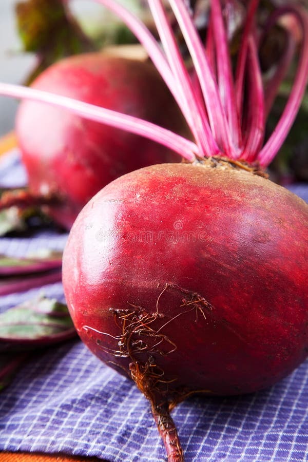 Beetroot stock photo. Image of root, pink, seasoning - 34929928