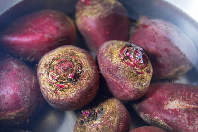Beetroot Being Boiled and Prepared in Water Stock Photo - Image of ...