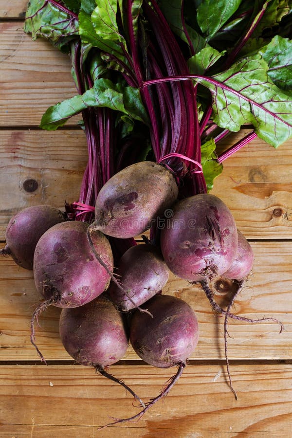 Root vegetables stock photo. Image of brown, bulb, fresh - 42174668