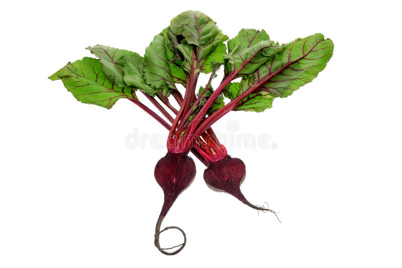 Beetroot stock image. Image of healthy, beetroot, vegetable - 82720841