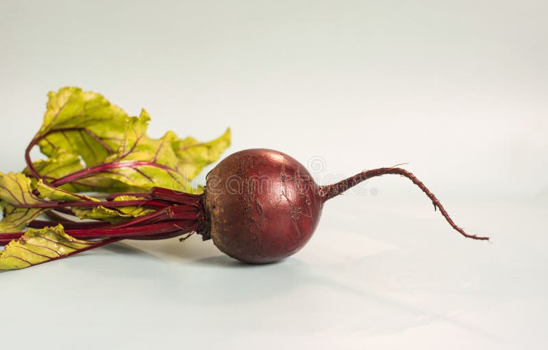 Beetroot with Green Leaves on a Light Background Stock Photo - Image of ...