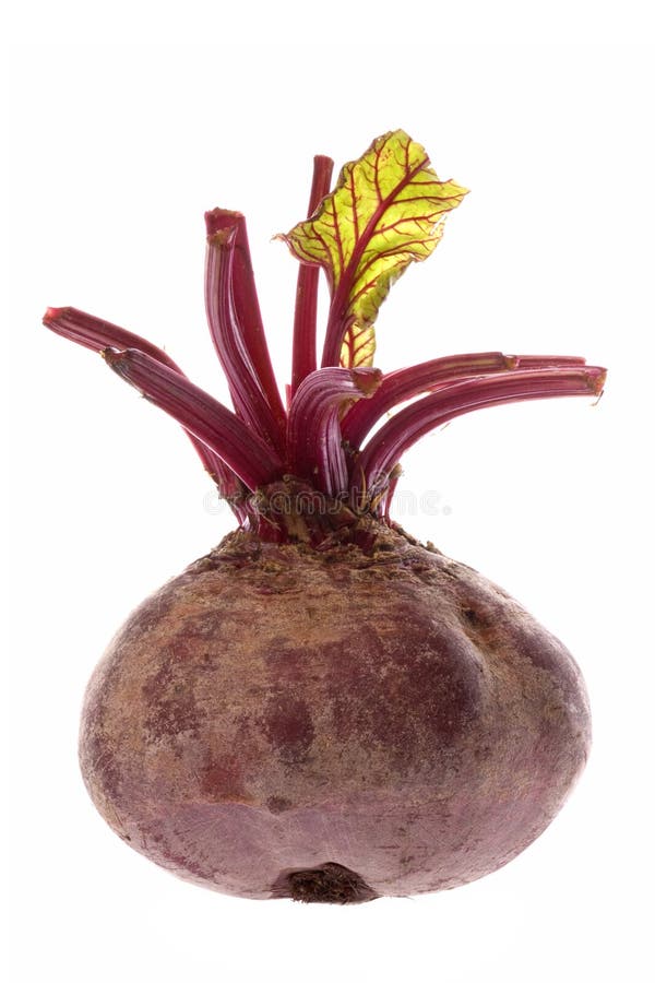 Beetroot Isolated stock photo. Image of beetroots, dessert - 6182362