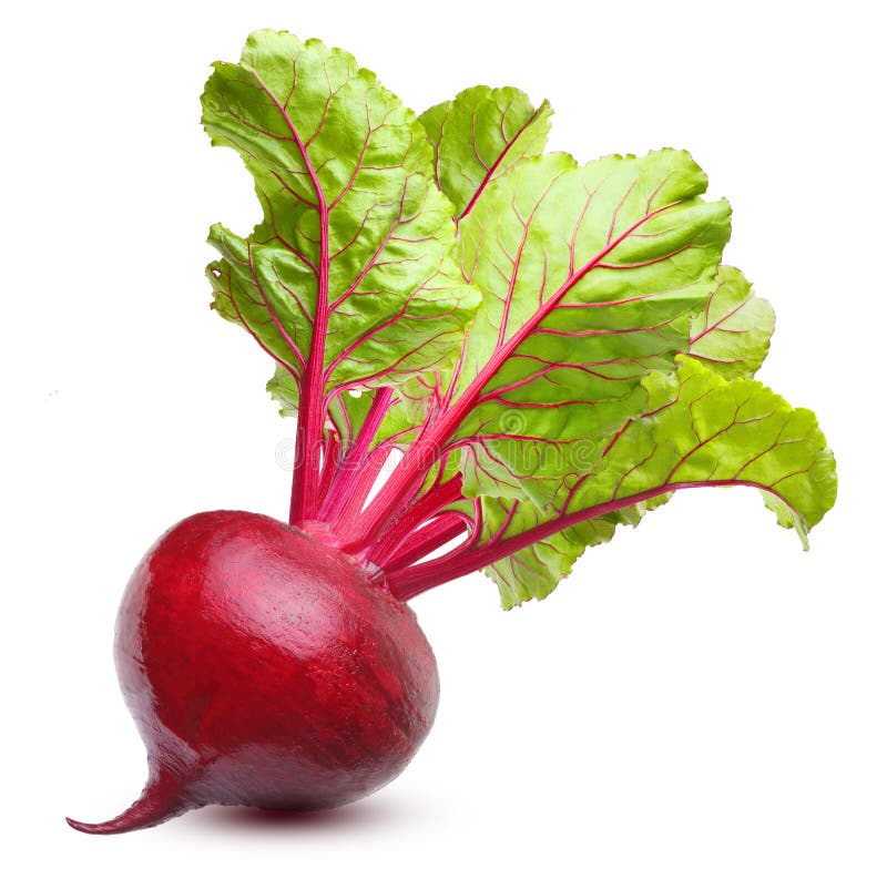 1,475 Single Beetroot Stock Photos - Free & Royalty-Free Stock Photos ...
