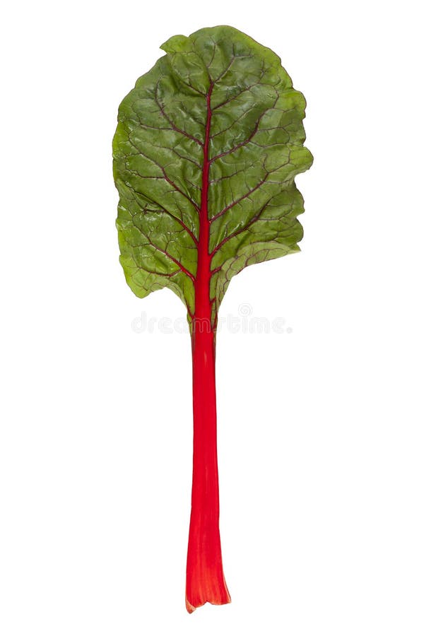 3,379 Beetroot Texture Stock Photos - Free & Royalty-Free Stock Photos ...