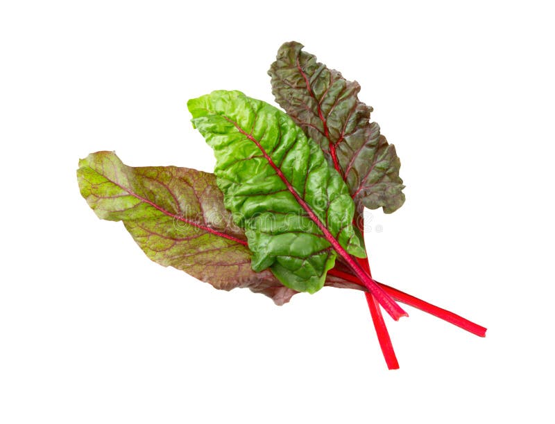 Beetroot Leaves, Fresh Beet Leaf Isolated Stock Photo - Image of ...