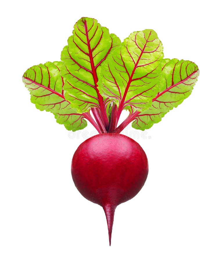 Beetroot with Leaves Solated on White Background Stock Image - Image of ...