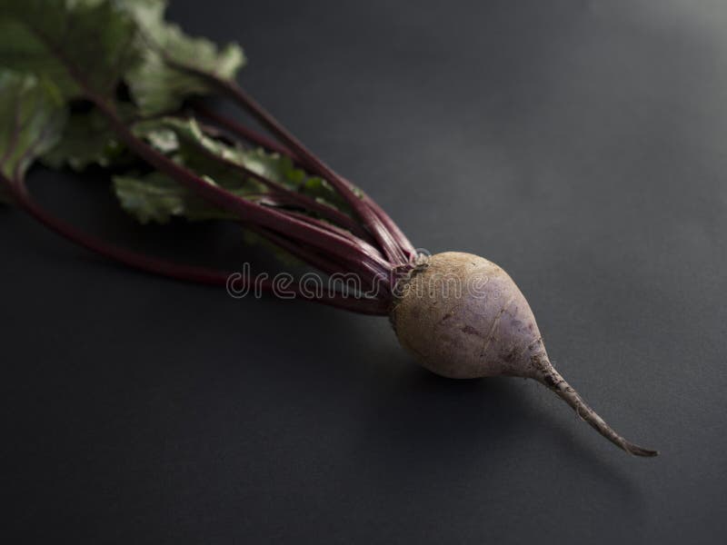 Beetroot with Leaves Isolated on Black Background Stock Photo - Image ...