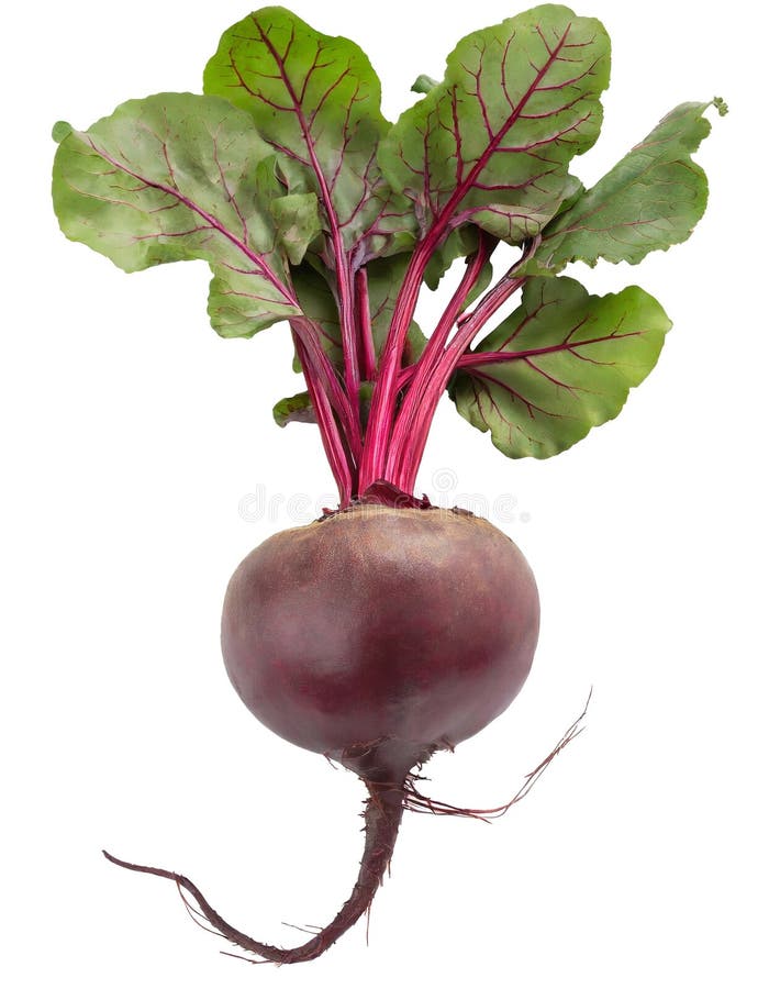 Beetroot with Leaves Isolated on White Background. Fresh Beetroot ...