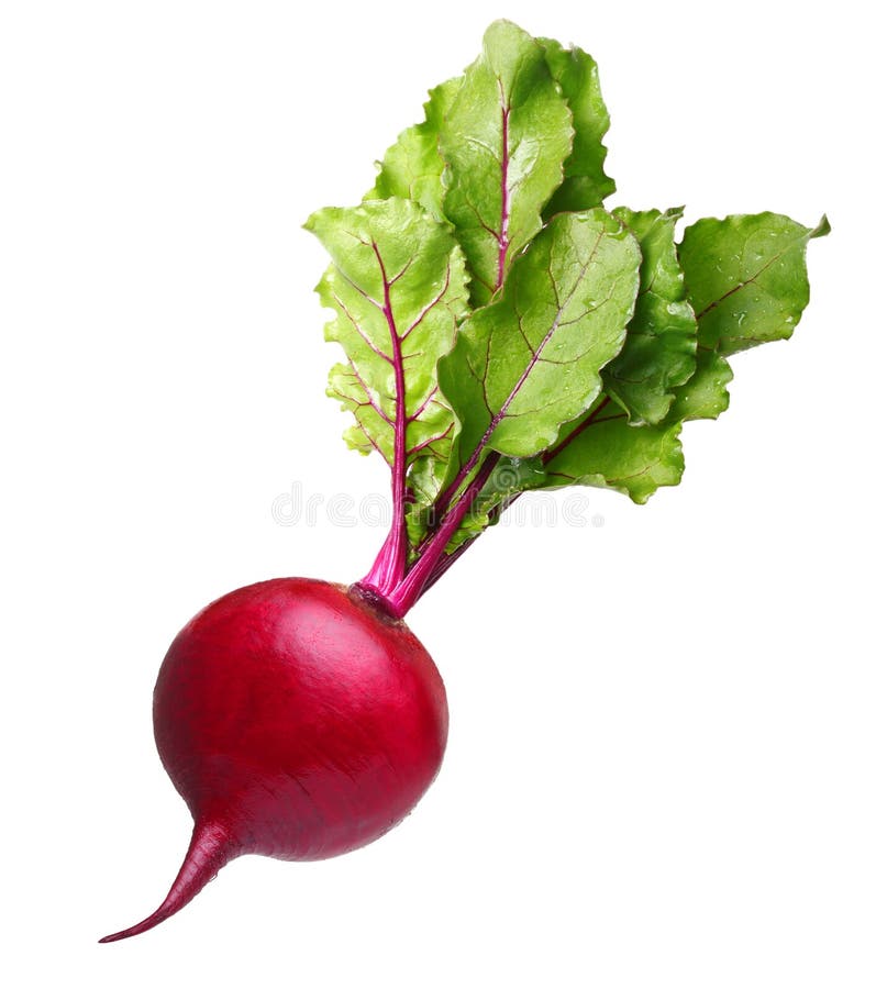 Beetroot with leaves stock photo. Image of macro, food - 32901738
