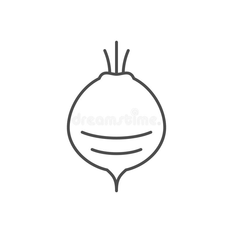 Beetroot Line Icon or Vegetable Concept Stock Illustration ...