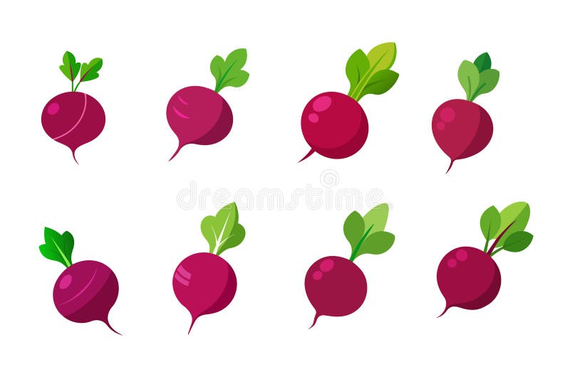 Beetroot Logo Icon Vector Illustration Stock Vector - Illustration of ...