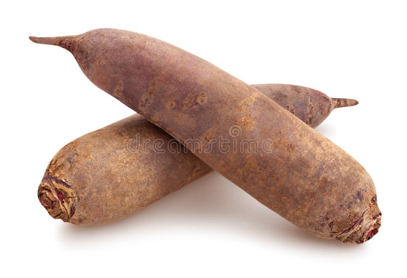 Beetroot stock image. Image of beetroot, vegetable, beet - 123566189