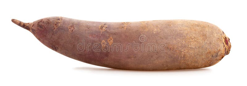 440 Beetroot Long Stock Photos - Free & Royalty-Free Stock Photos from ...