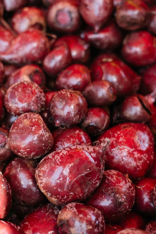 Beetroot on the Market Counter Stock Photo - Image of beet, fresh ...