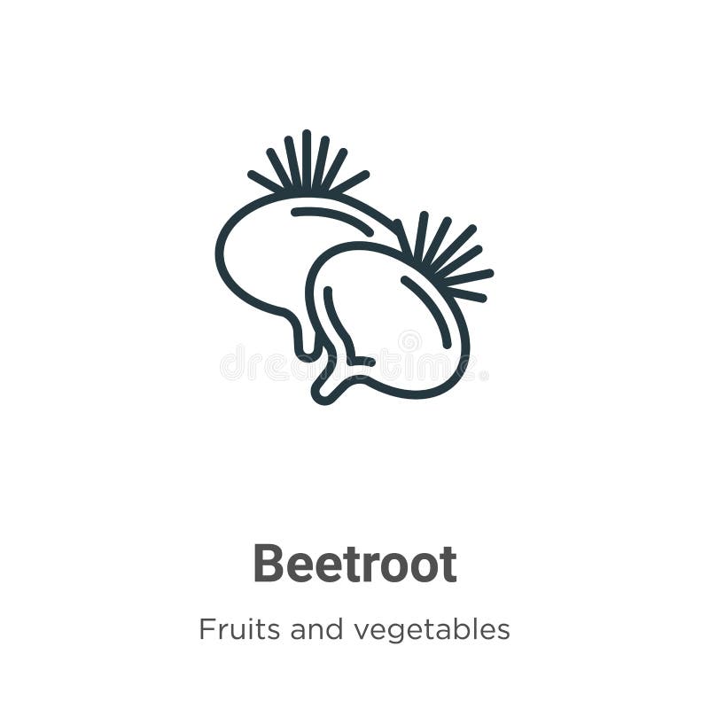 Beetroot outline sketch stock vector. Illustration of hand - 286448307