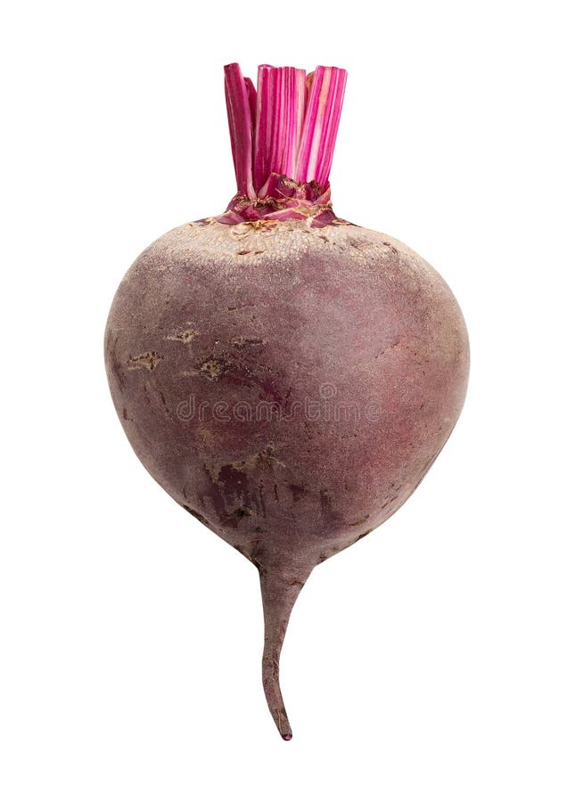 Beets stock image. Image of sugar, roots, close, freshness - 19724991