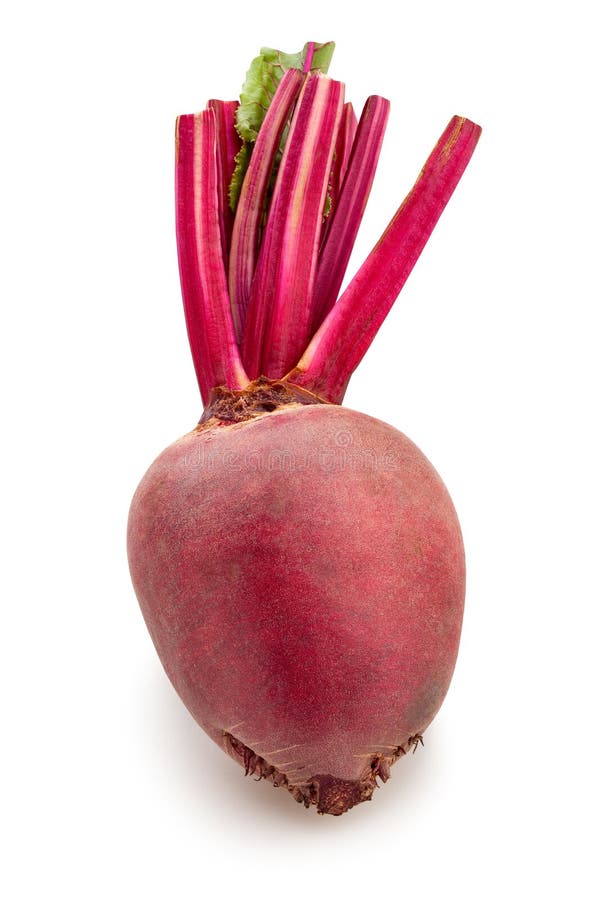Beetroot whole chunks stock image. Image of healthy, beetroot - 31029581