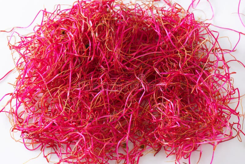 Beetroot sprouts stock image. Image of beetroot, vegetable - 57127691