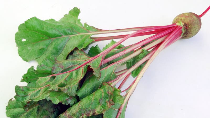 Edible Taproots Stock Photos - Free & Royalty-Free Stock Photos from ...