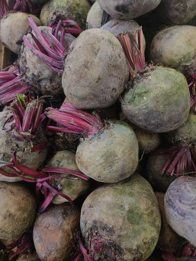 Beetroot Top View on Display Stock Image - Image of harvesting, organic ...