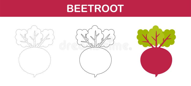 Beetroot Tracing and Coloring Worksheet for Kids Stock Vector ...