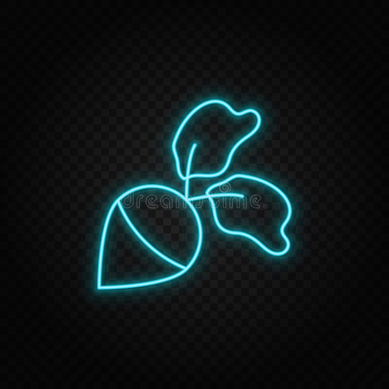 Beetroot, Turnip Neon Icon. Blue and Yellow Neon Vector Icon Stock ...