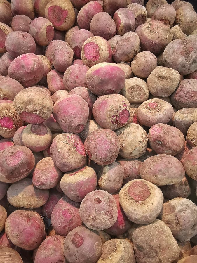 BEETROOT UNDER GROUND FRUIT VEGETABLES Stock Photo - Image of fresh ...