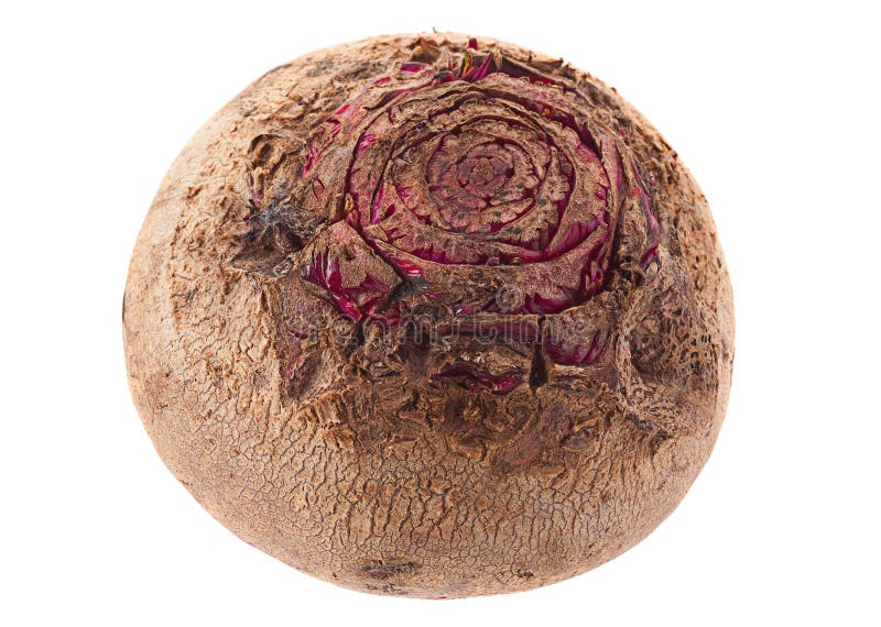 Beetroot Vegetable Back Side Stock Image - Image of root, sliced: 60728757