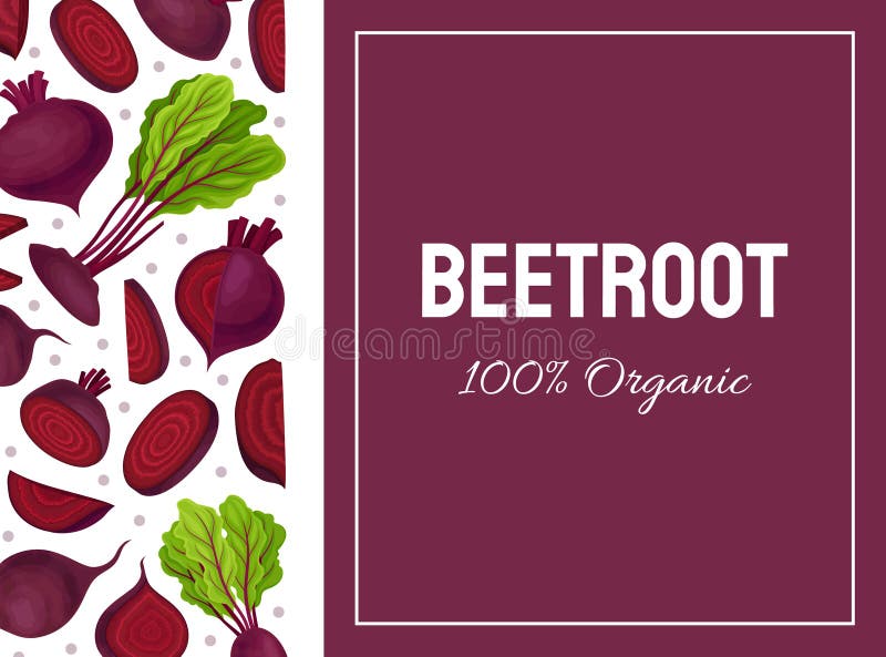 Beetroot Vegetable Crop Banner Design Design Vector Template Stock ...
