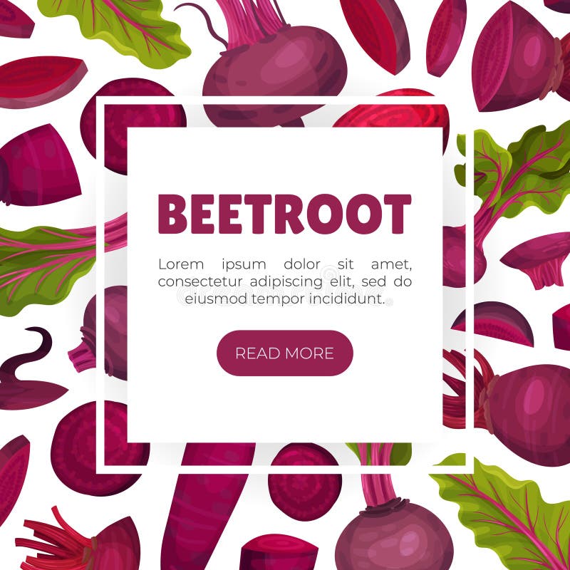 Beetroot Vegetable Crop Banner Design Design Vector Template Stock ...