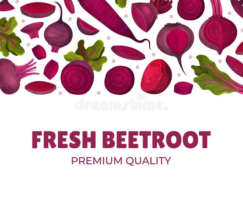 Beetroot Vegetable Crop Banner Design Design Vector Template Stock ...