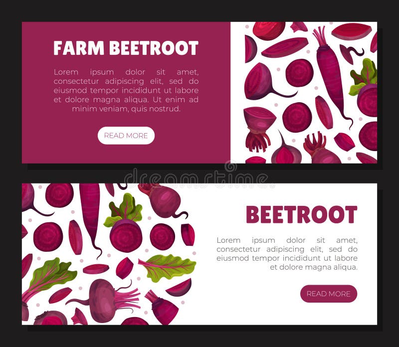 Beetroot Vegetable Crop Banner Design Design Vector Template Stock ...