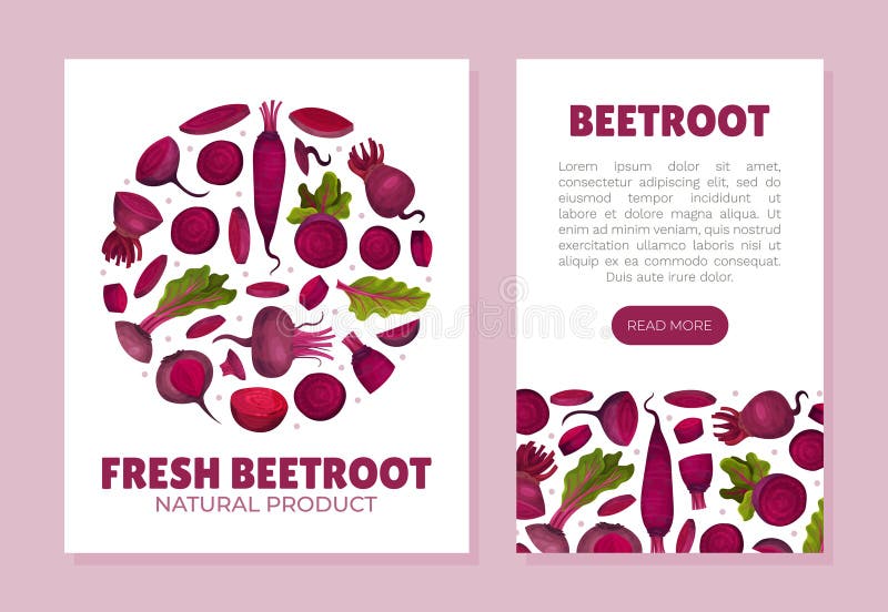 Beetroot Vegetable Crop Banner Design Design Vector Template Stock ...