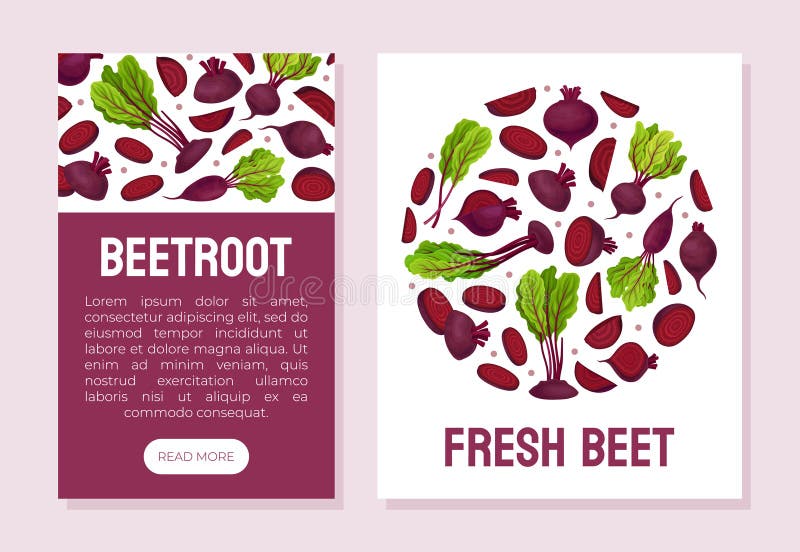 Beetroot Vegetable Crop Banner Design Design Vector Template Stock ...