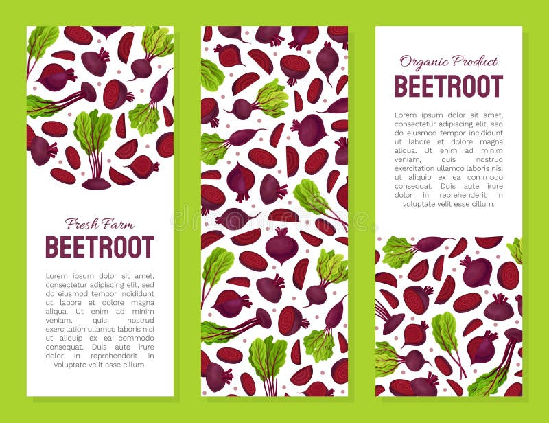 Beetroot Vegetable Crop Banner Design Design Vector Template Stock ...