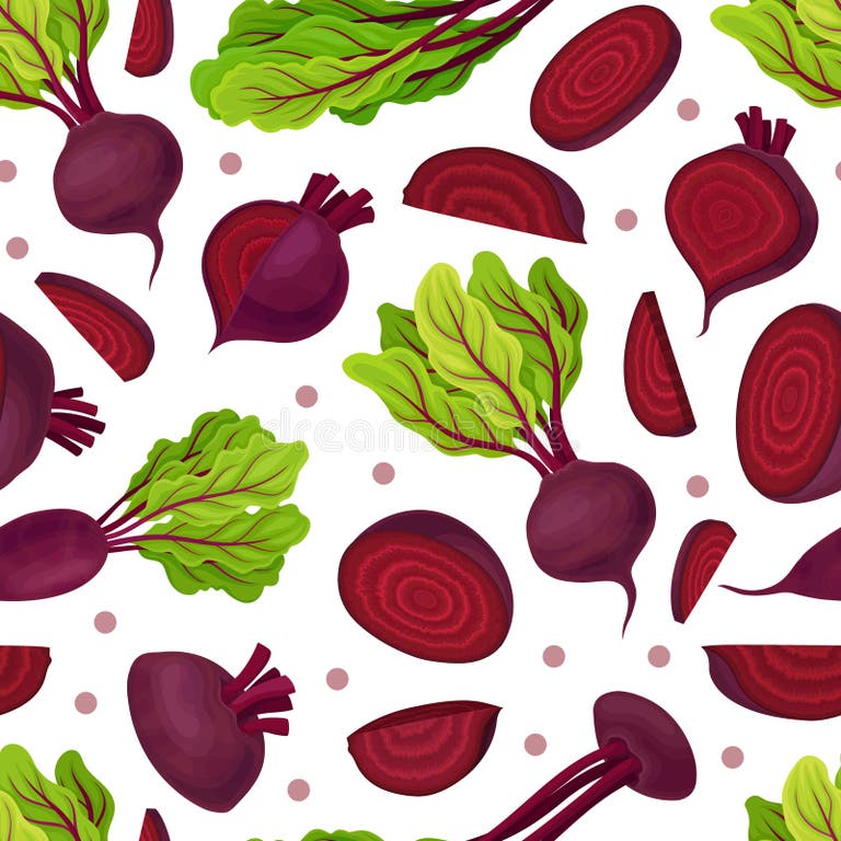 Beetroot Vegetable Crop Seamless Pattern Design Vector Template Stock ...