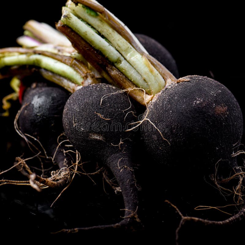 Beetroots stock image. Image of green, beetroot, black - 86072817