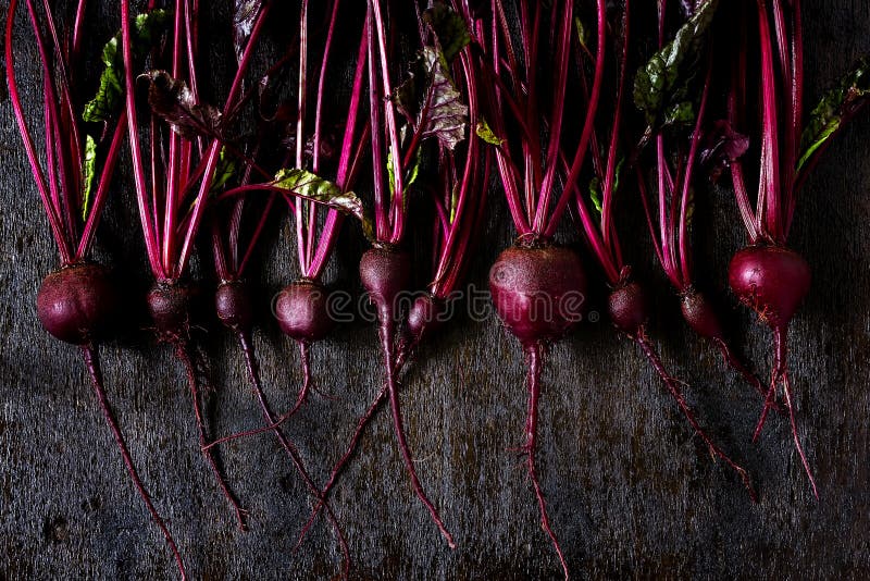 Beetroots stock photo. Image of autumn, gardening, farming - 33750904