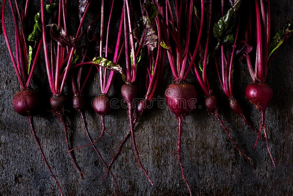 Beetroots stock photo. Image of autumn, gardening, farming - 33750904