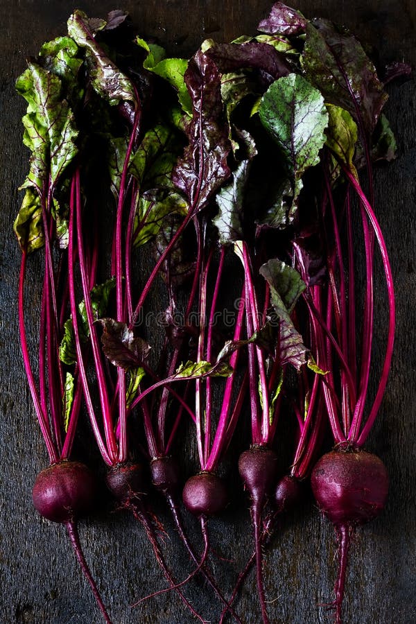 Beetroots stock image. Image of fresh, beet, harvest - 33751005