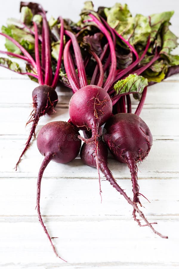 Beetroots stock image. Image of fresh, beet, harvest - 33751005