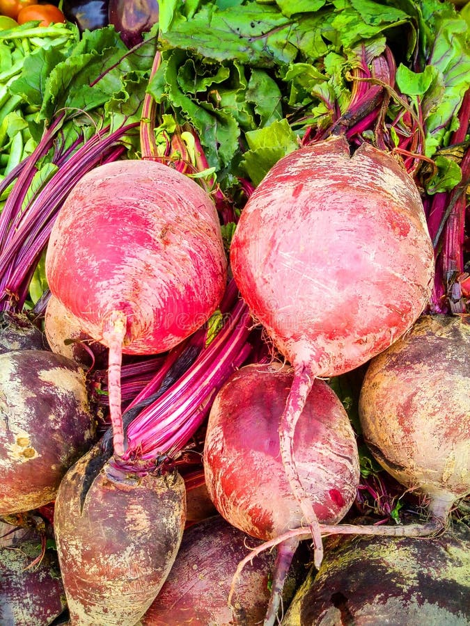 Beetroots stock image. Image of vegetable, colourful - 65563809
