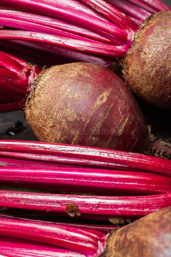 Big red beet root peeled stock photo. Image of crop, black - 41882066