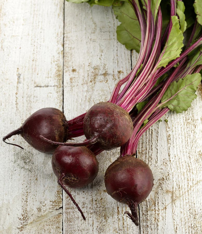 Beets stock image. Image of garden, vegetarian, roots - 15557639