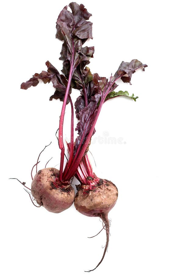Beets isolated stock photo. Image of overhead, healthy - 208066306