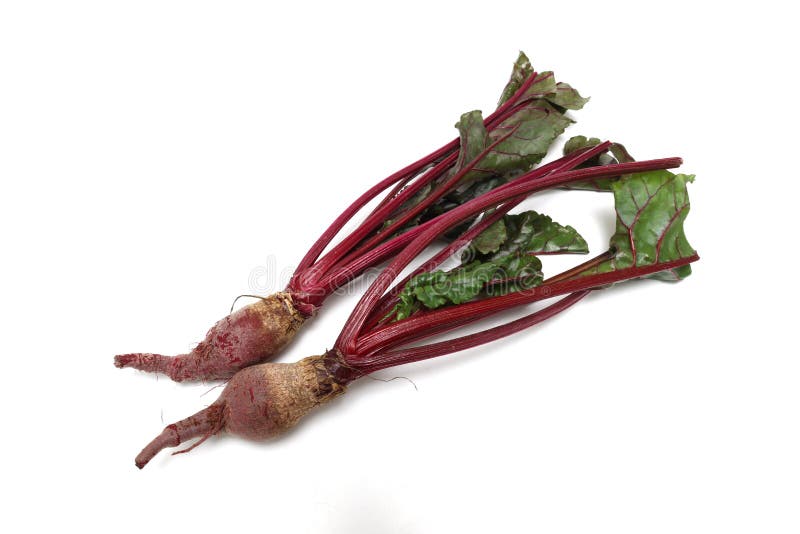 Beets Isolated on a White Background Stock Photo - Image of healthy ...