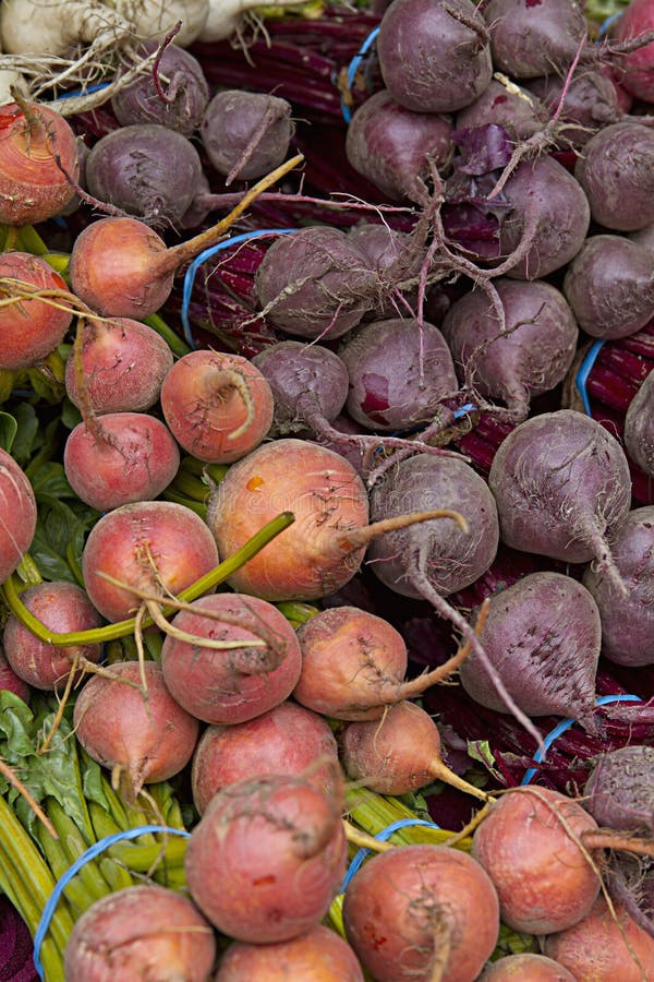 Beets Vegetable Background stock image. Image of farmers - 14829315