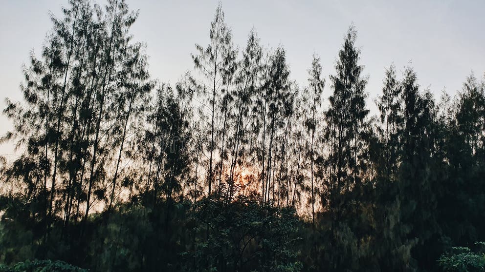 Begin Breath Calendar Stock Photos - Free & Royalty-Free Stock Photos ...