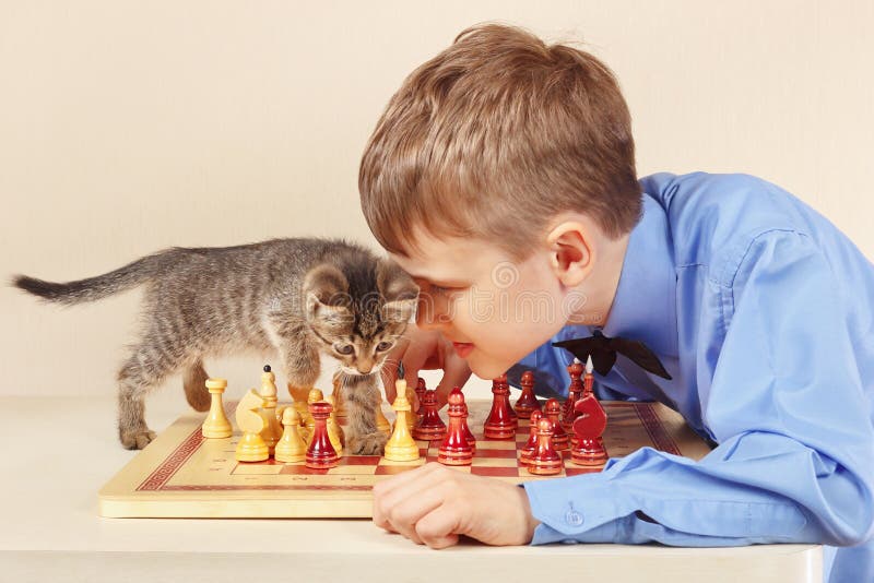 Beginner Grandmaster with Tabby Kitten Plays Chess. Stock Photo - Image ...
