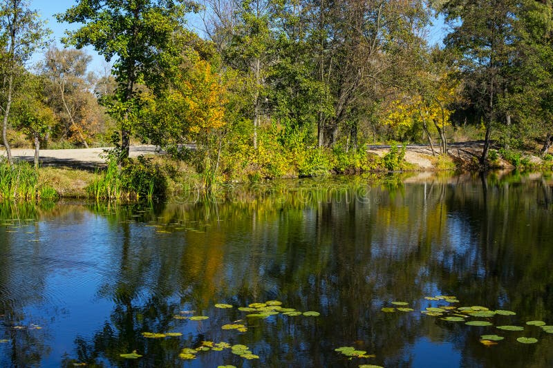 The beginning of autumn. stock photo. Image of scenic - 385332780